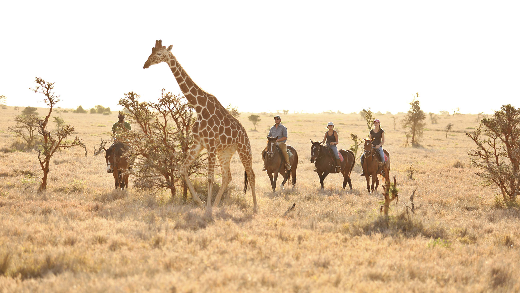 The week before your trip: How to prepare for a safari | Ubuntu Travel ...