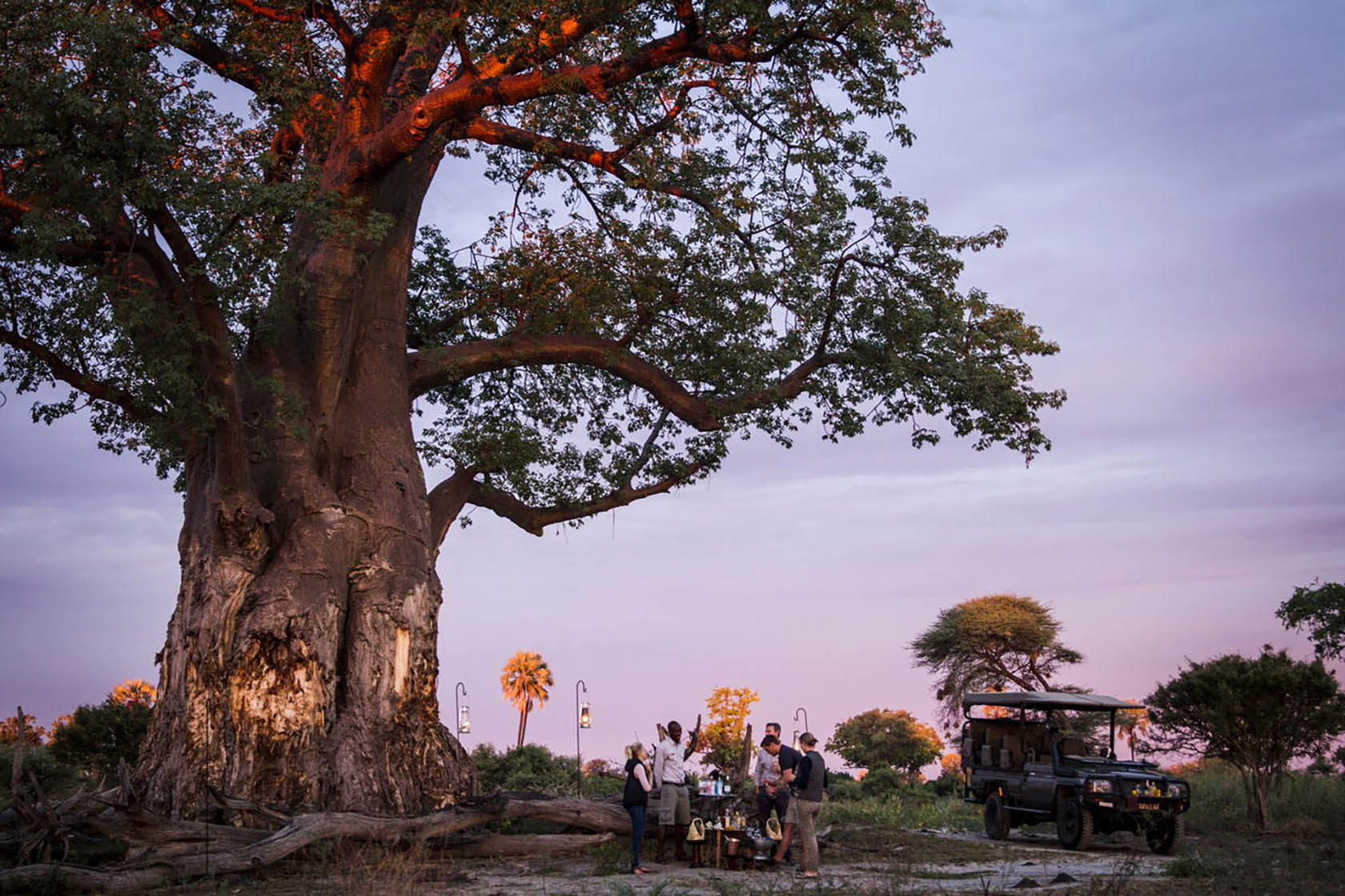 Gin and Tonic: The Story of the Iconic Safari Refreshment | Ubuntu Travel
