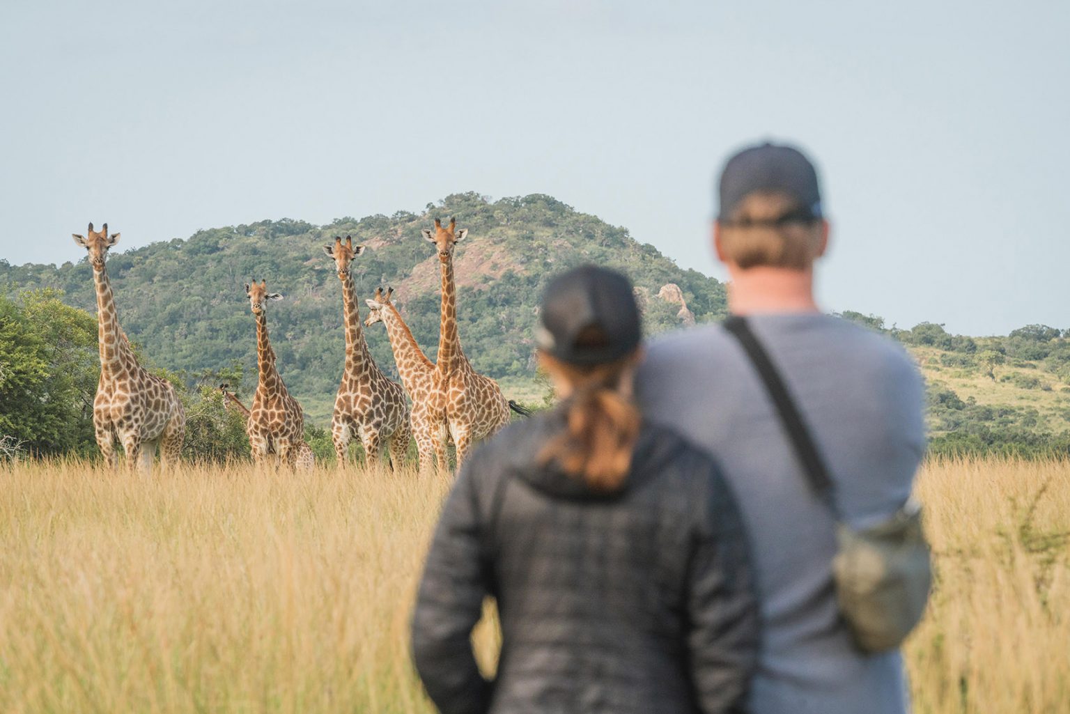 5 Safari Photography Tips for Capturing African Wildlife
