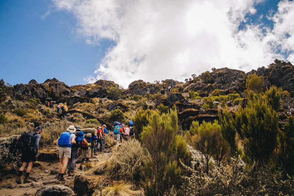 These are the Best Hikes in Africa | Ubuntu Travel Safari Experts