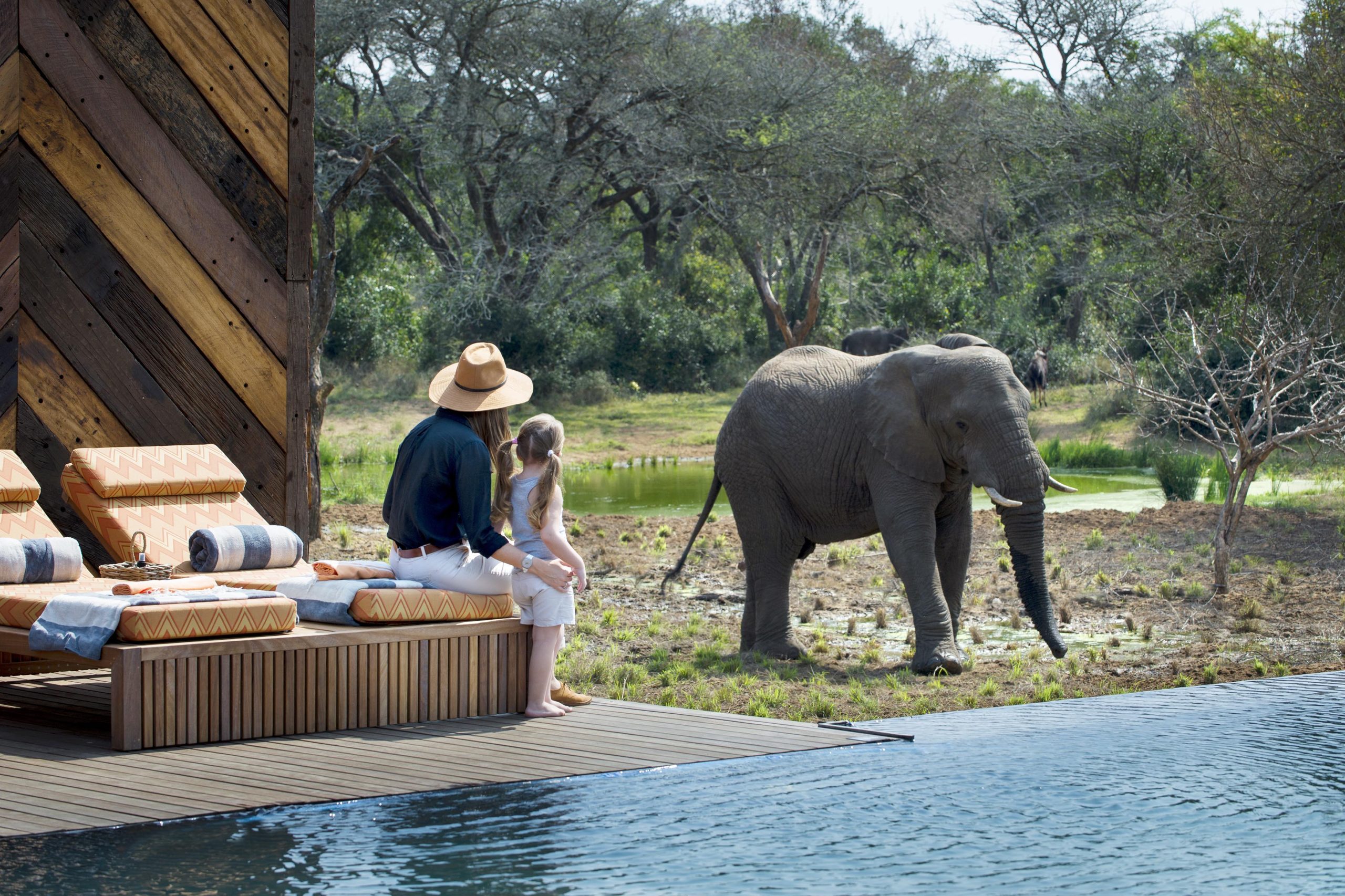 Best African Luxury Family Safari Packages | Ubuntu Travel