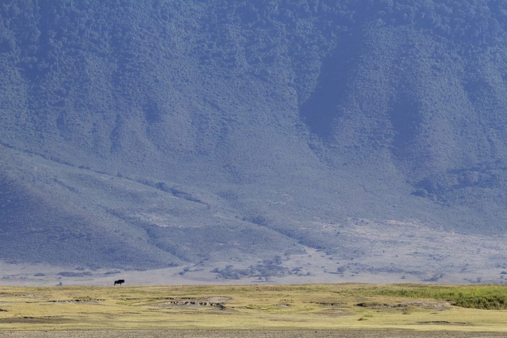 Six Reasons to Visit the Iconic Ngorongoro Crater | Ubuntu Travel