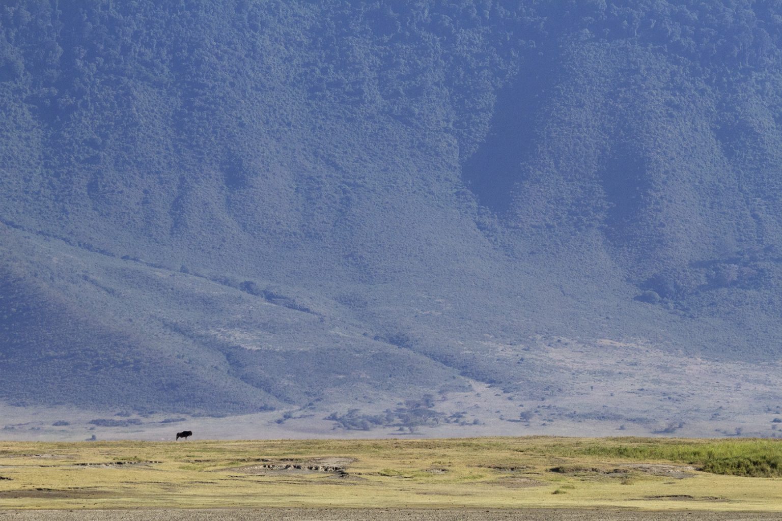 Six Reasons to Visit the Iconic Ngorongoro Crater | Ubuntu Travel