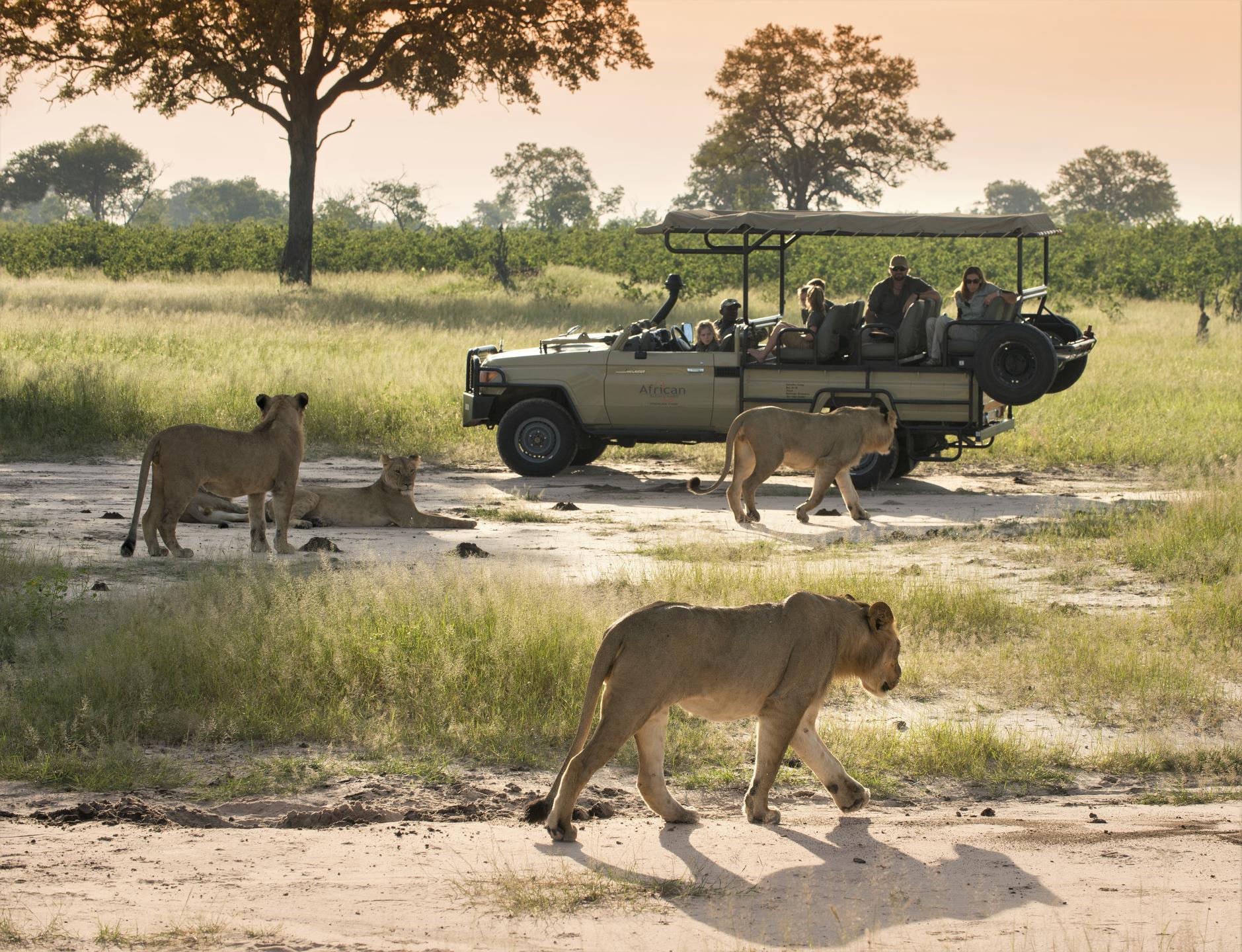 African Bush Camps Somalisa Acacia | Hwange | Zimbabwe