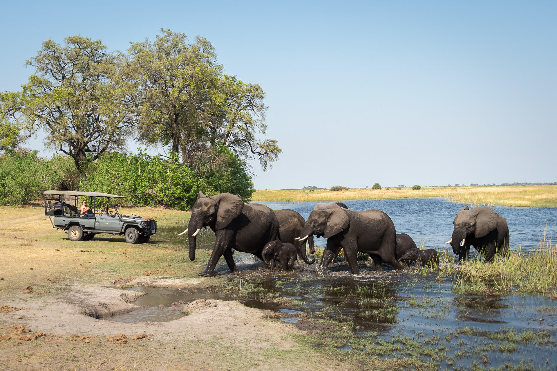 Luxury Botswana Safaris Tailor Made Vacations And Packages