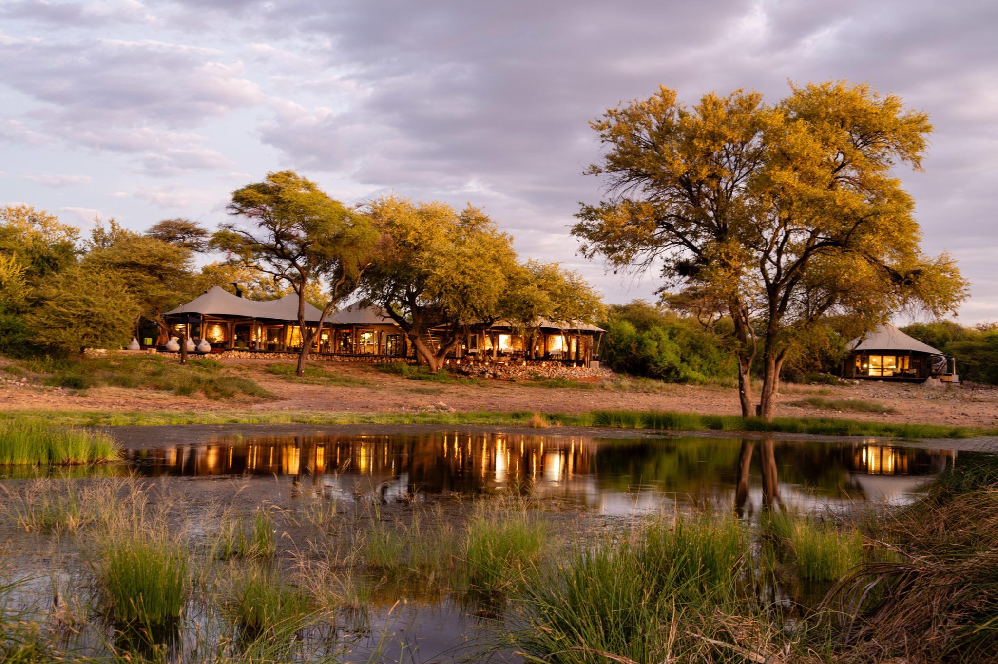 Onguma Tented Camp | Etosha National Park, Namibia