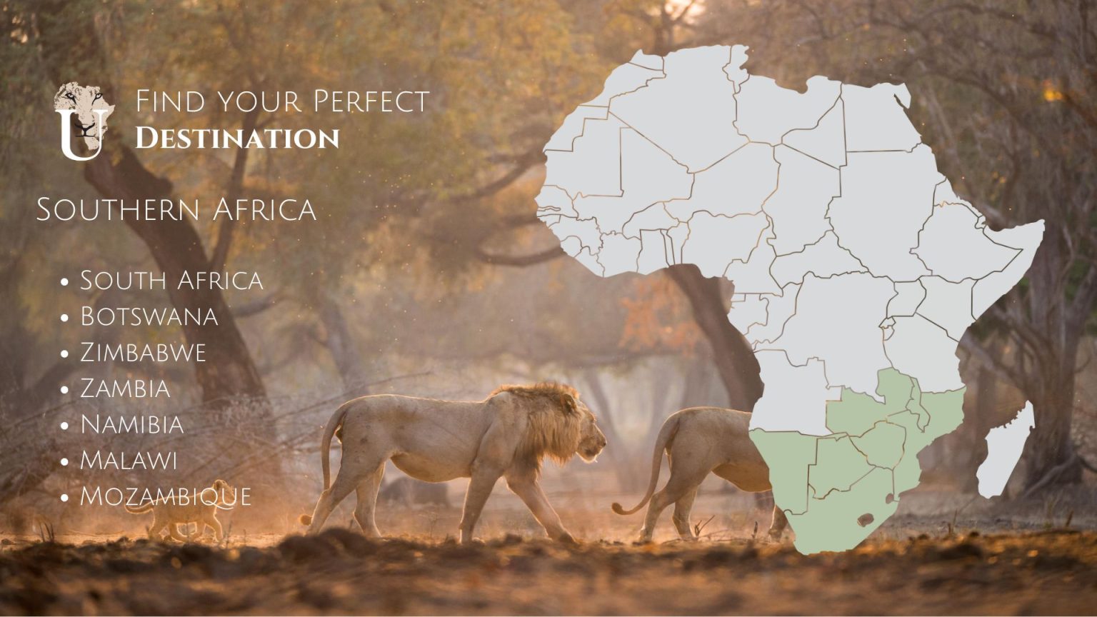 How to Choose Between a Safari in Southern Africa or East Africa