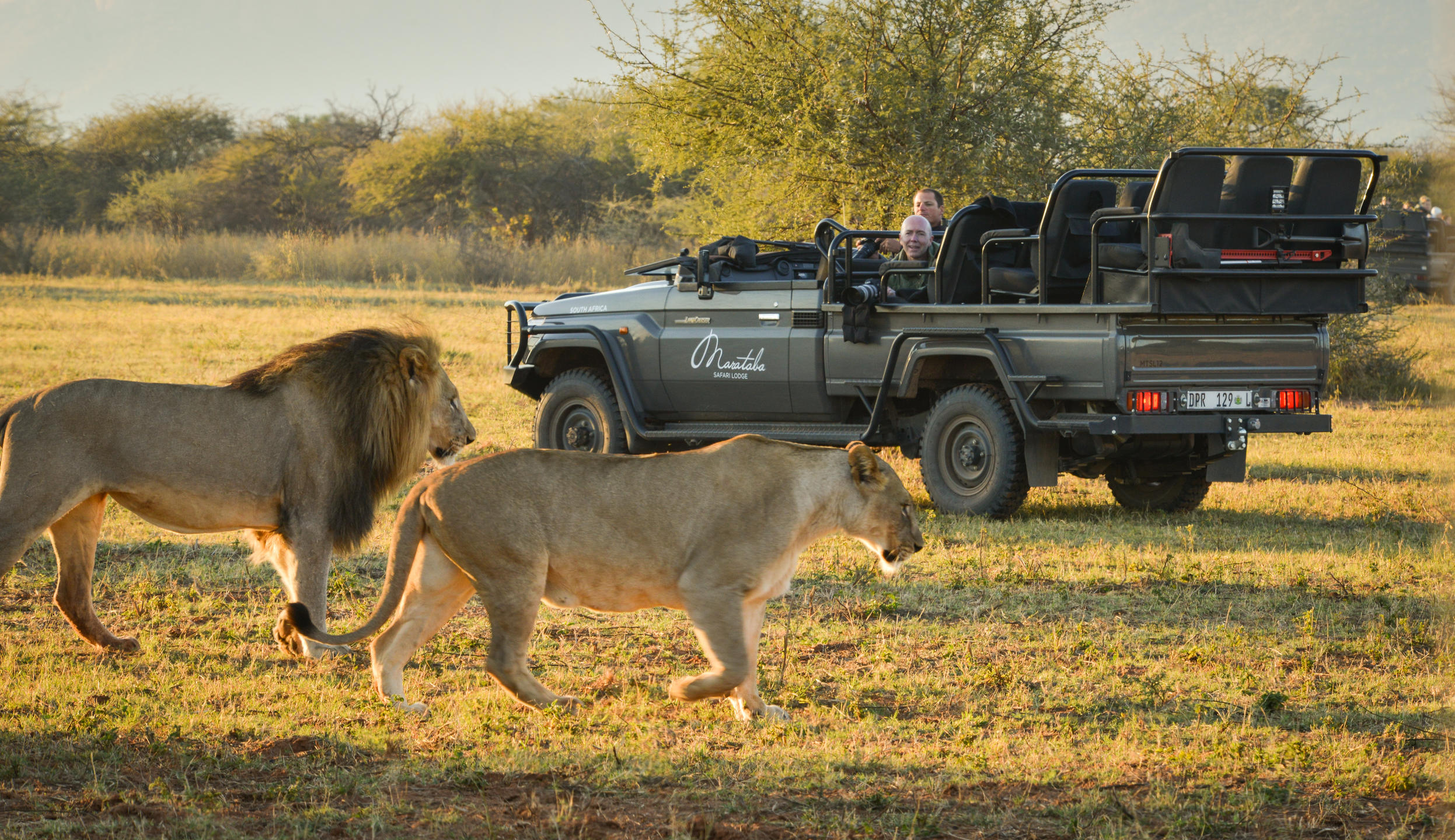 12-Day Malaria-Free Big Five Safari | Tailor-Made Safaris
